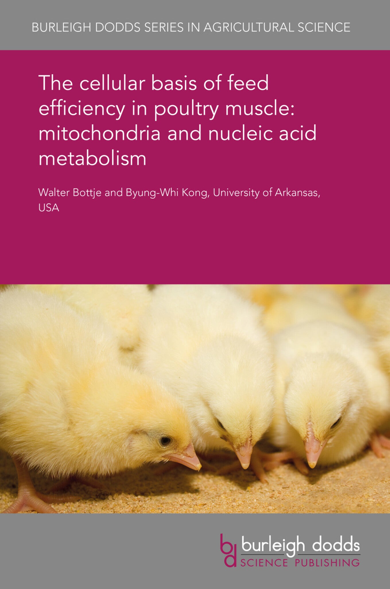 The cellular basis of feed efficiency in poultry muscle: mitochondria